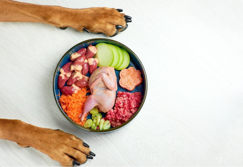 ELEVATE YOUR DOG'S DIET: THE IMPORTANCE OF PRE-MIX IN COOKED DOG FOOD ...